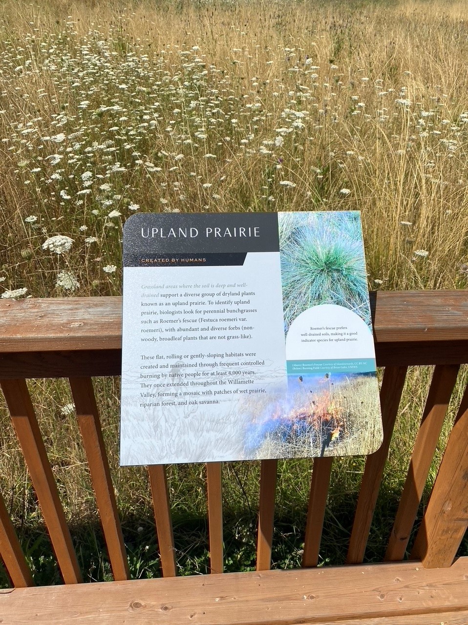 2024 Annual Meeting - Field Trips